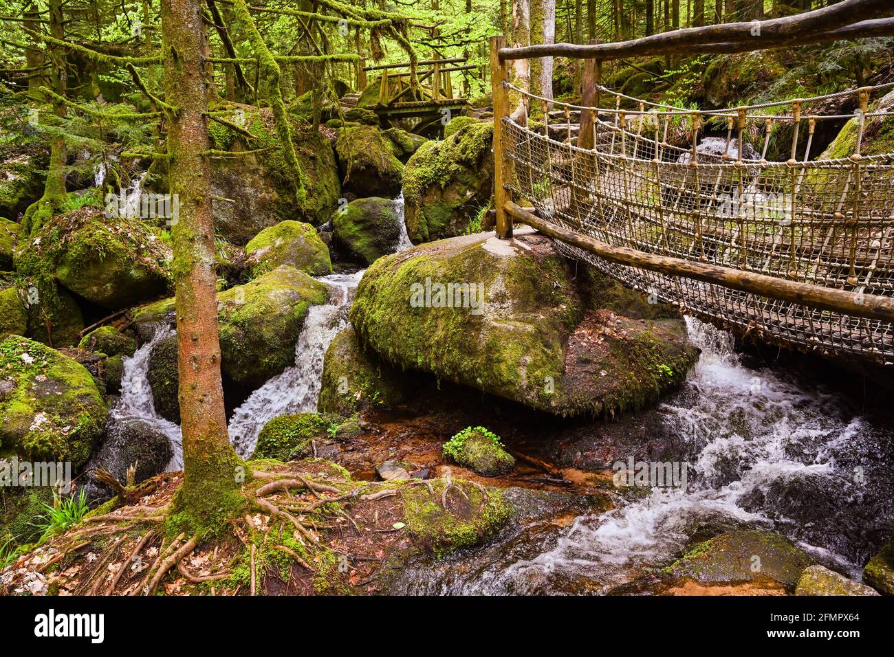 La cascade de Gertelbach dans la vallée de Bühler, dans la forêt noire ...