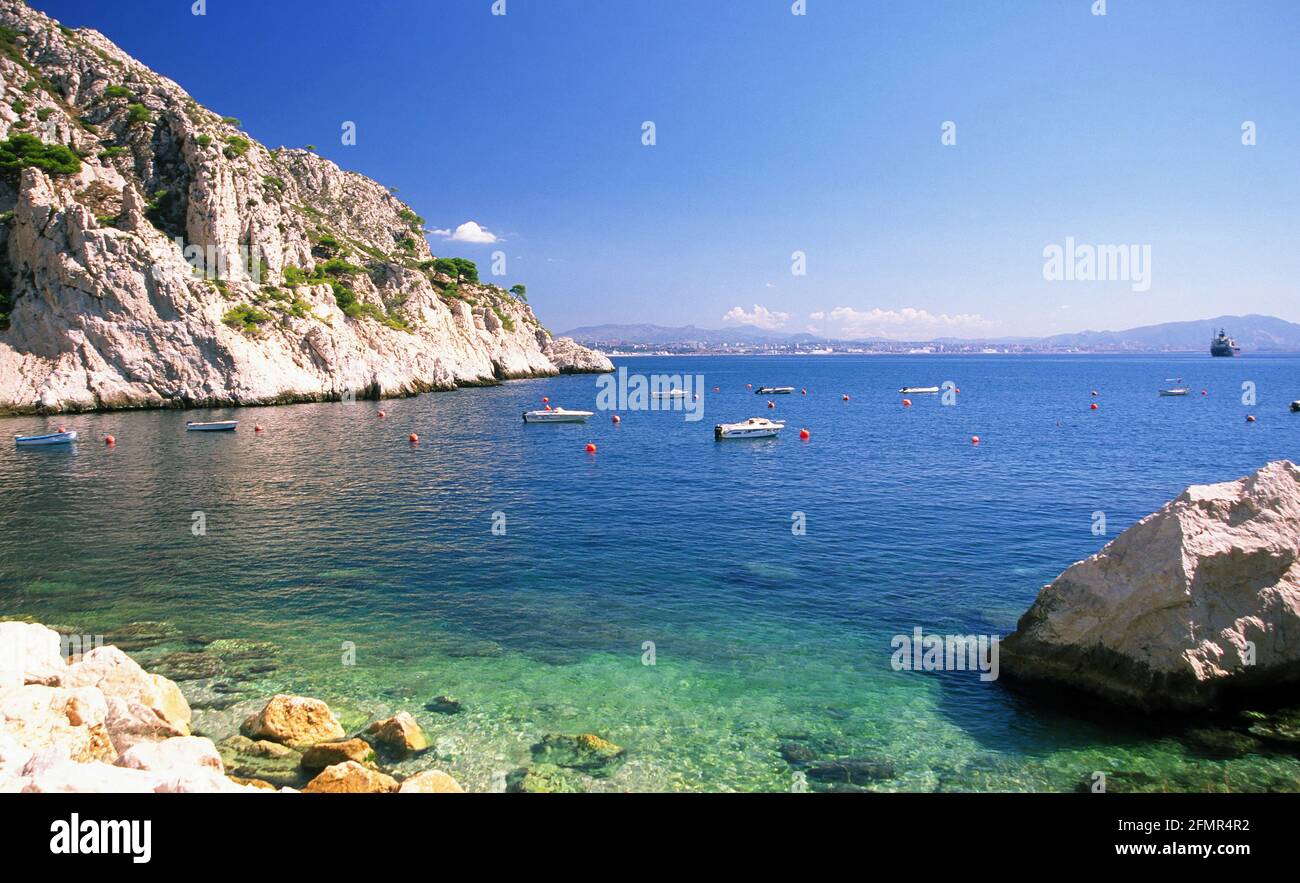 La vesse Banque de photographies et d’images à haute résolution - Alamy