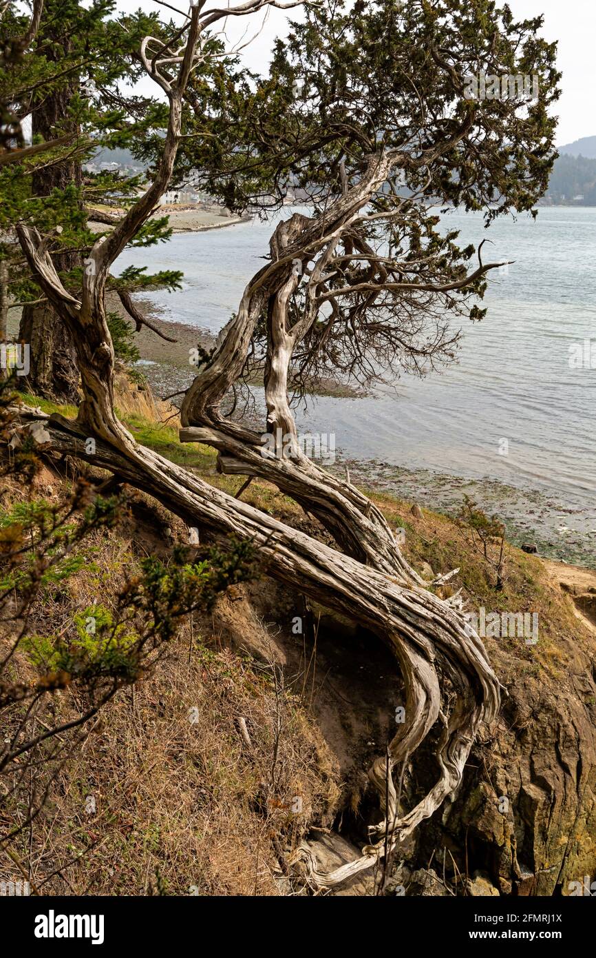 Parc de la ville d'anacortes Banque de photographies et d’images à ...