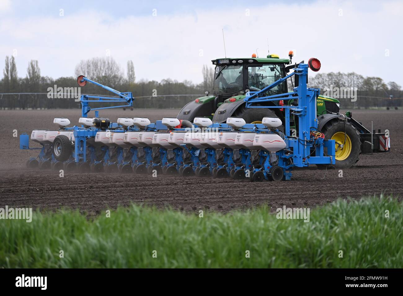 06 mai 2021, Brandebourg, Brandebourg/Havel/OT Gollwitz: Un agriculteur ...