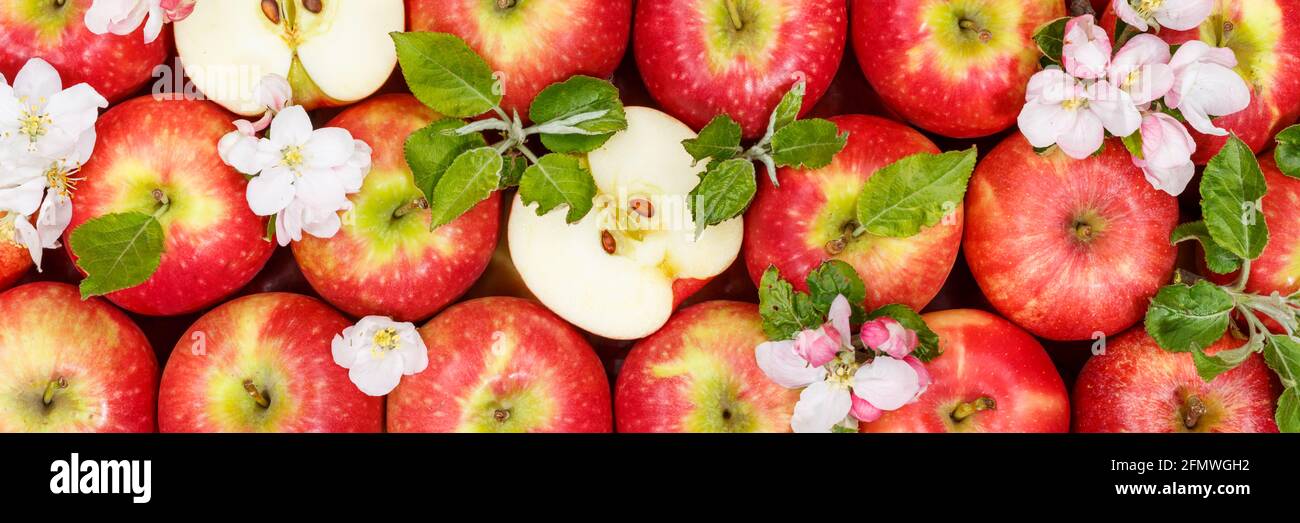 Fleurs de pomme rouge Banque de photographies et d’images à haute ...