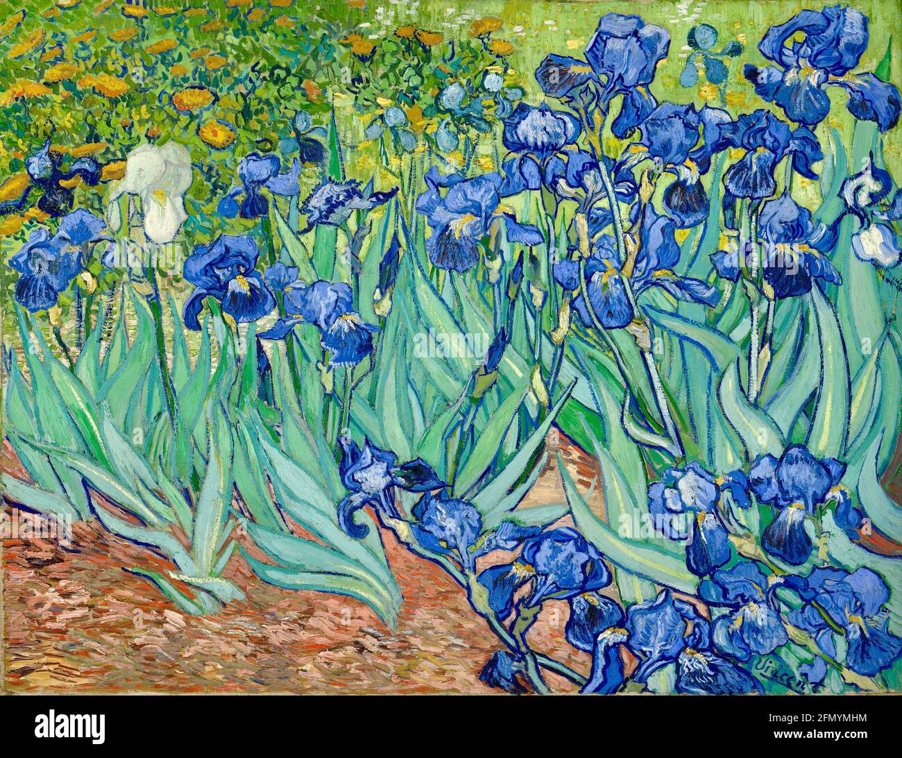 Art de van gogh Banque de photographies et d’images à haute résolution - Alamy