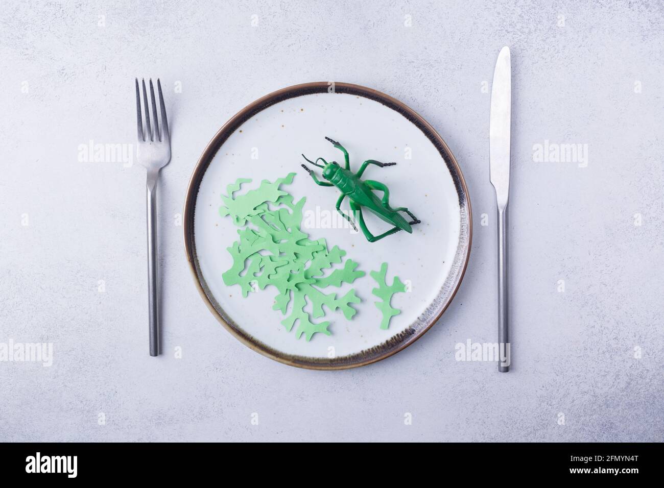 Manger des insectes et des algues sur l'assiette. Insectes alimentaires ...