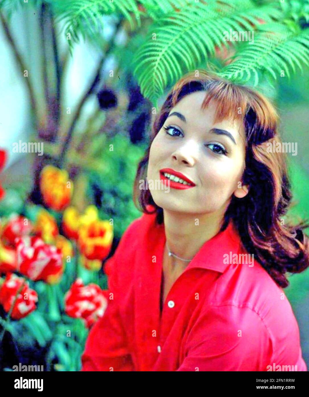 Elsa martinelli elsa martinelli elsa Banque de photographies et d ...