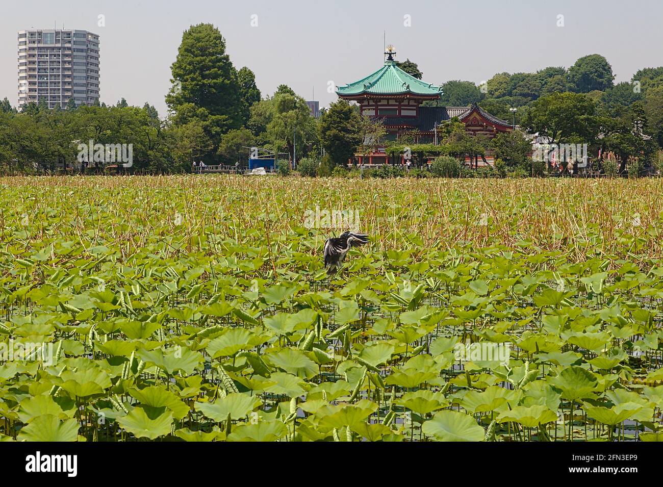 Benten do temple ueno Banque de photographies et d’images à haute ...