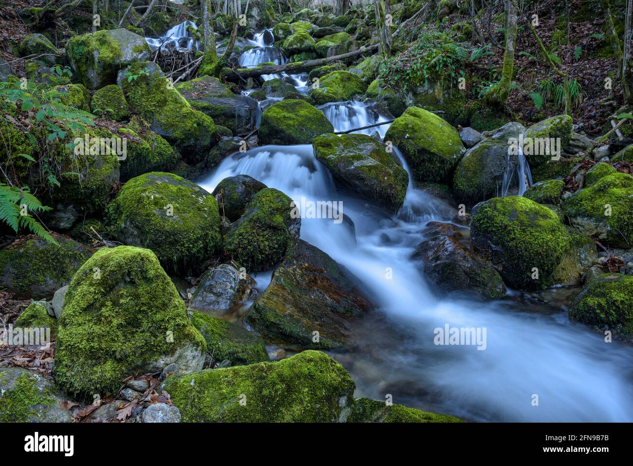 Cascade dans la rivière Toran, dans la vallée de Torán (Vallée d'Aran ...