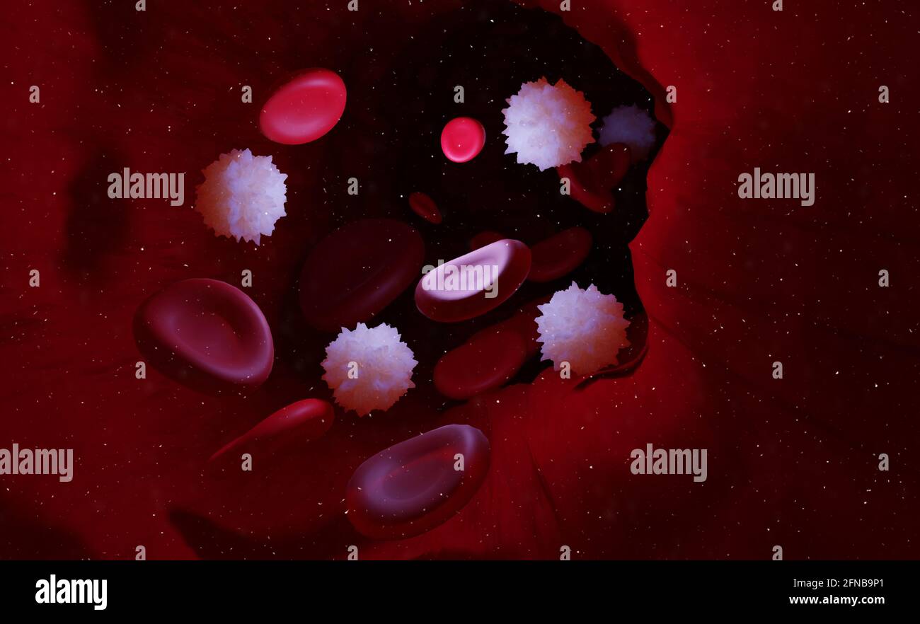 3d du flux sanguin montre la cellule de leucémie à l'intérieur, artère ...