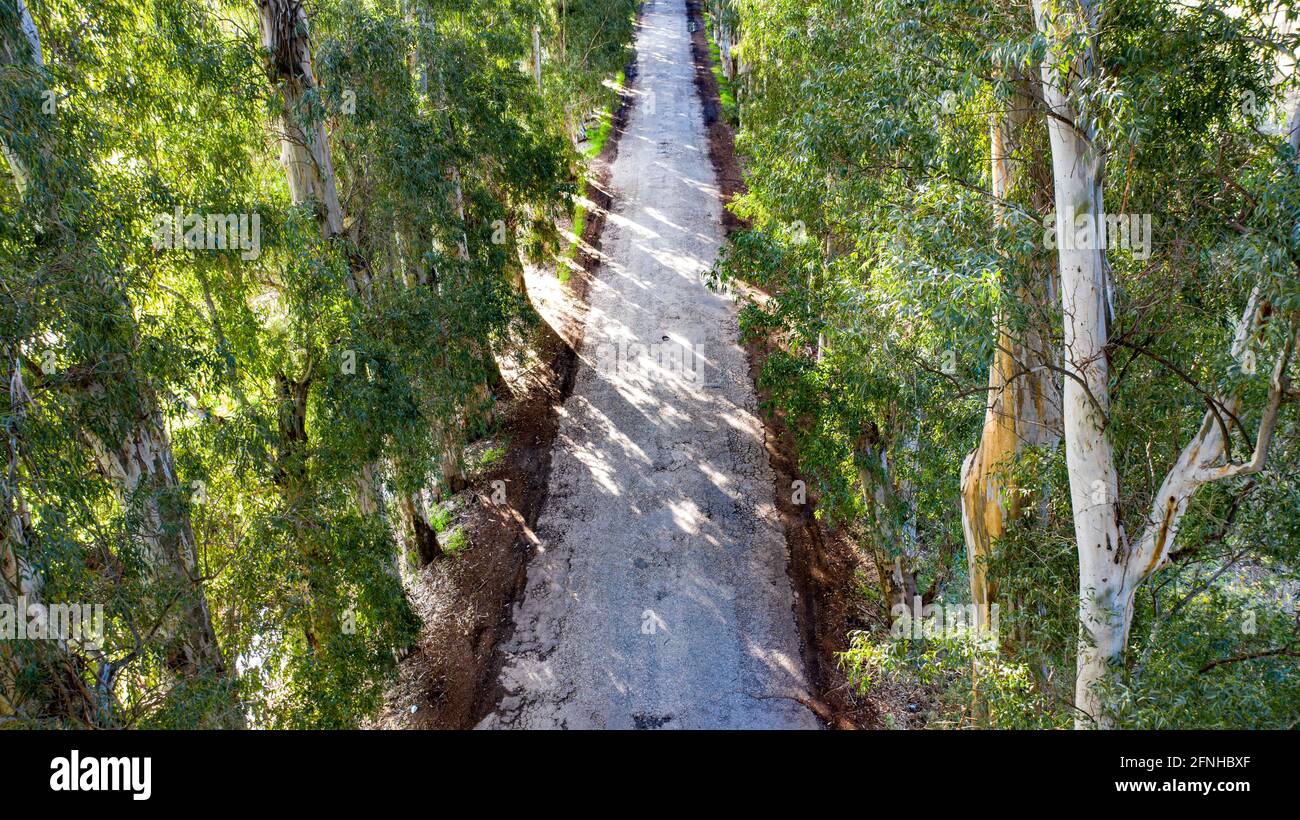 Photo panoramique d'un paysage qui capture une route au milieu d'une ...