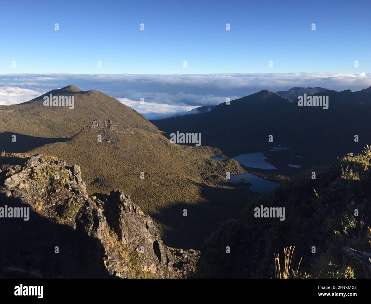 Cerro chirripo national park Banque de photographies et d’images à ...