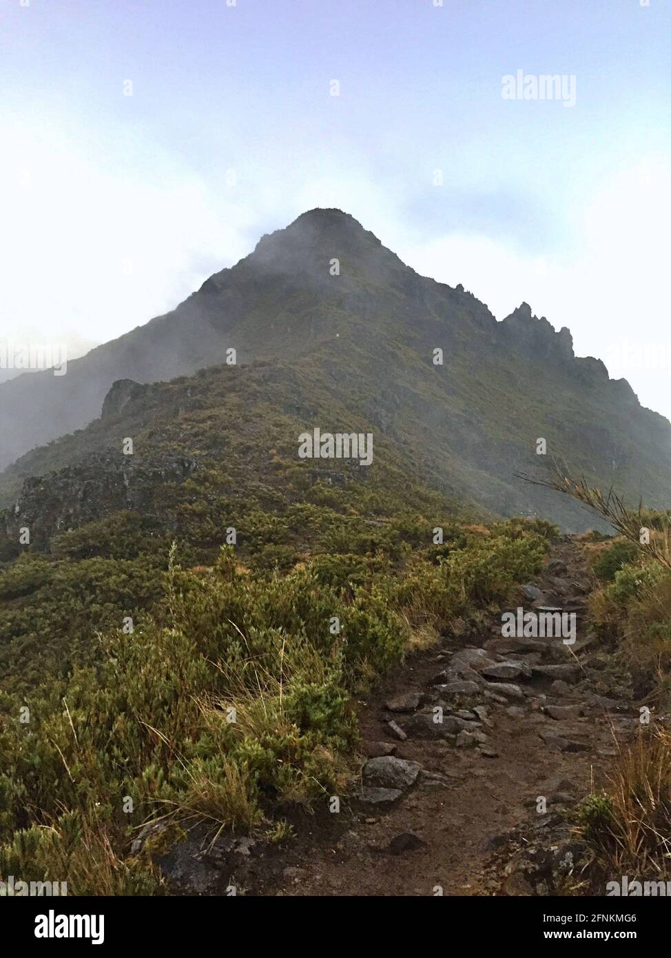 Cerro chirripo national park Banque de photographies et d’images à ...