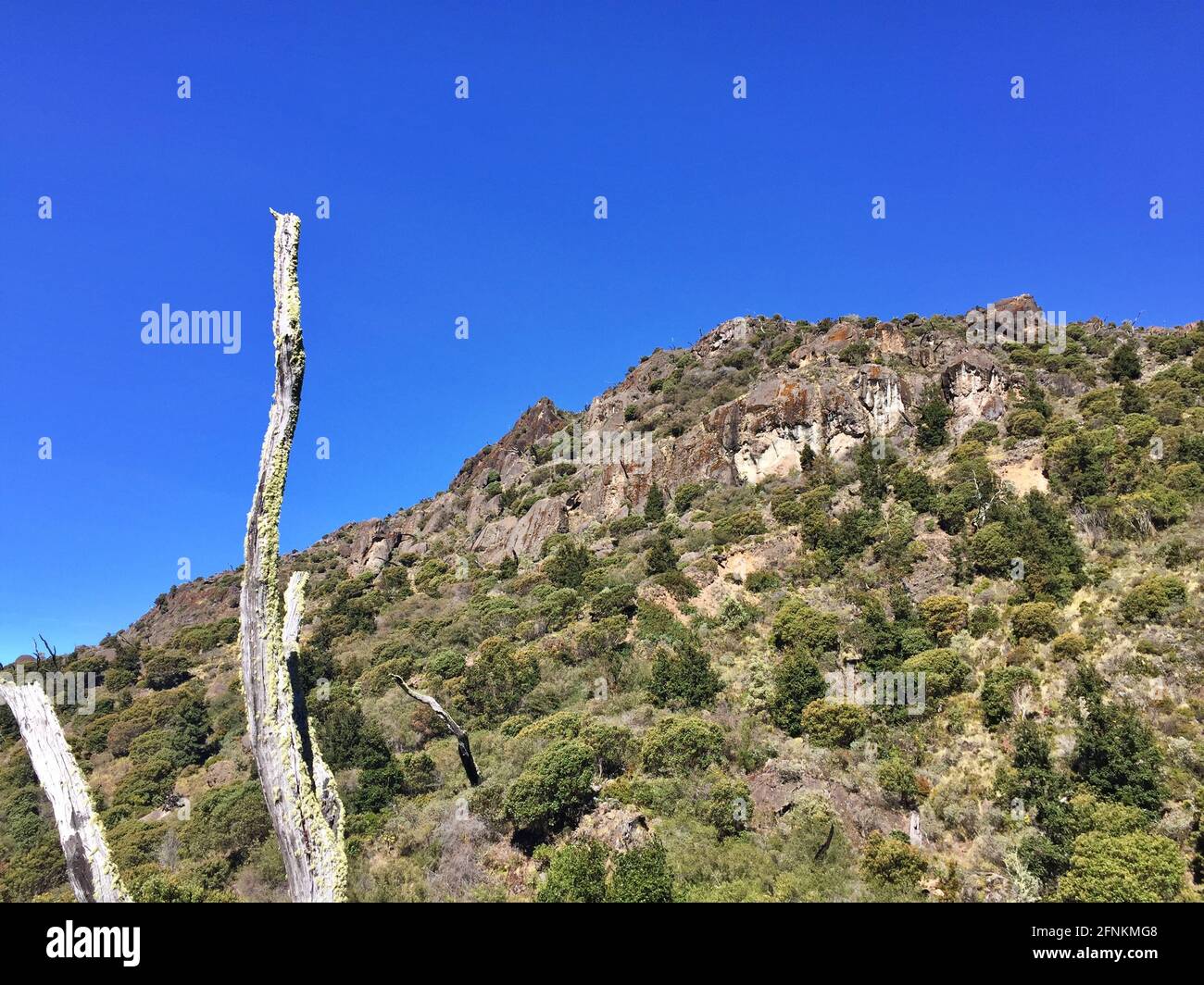 Cerro chirripo national park Banque de photographies et d’images à ...