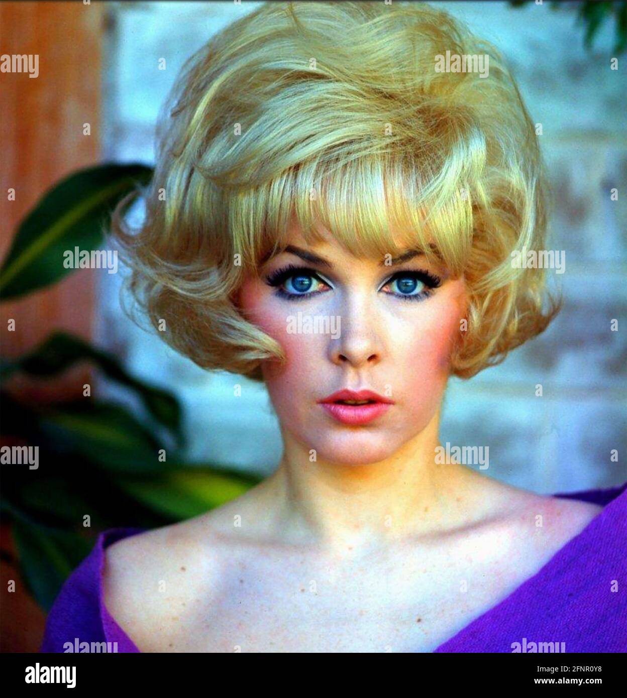 STELLA STEVENS film américain et actrice de scène environ 1965 Photo ...