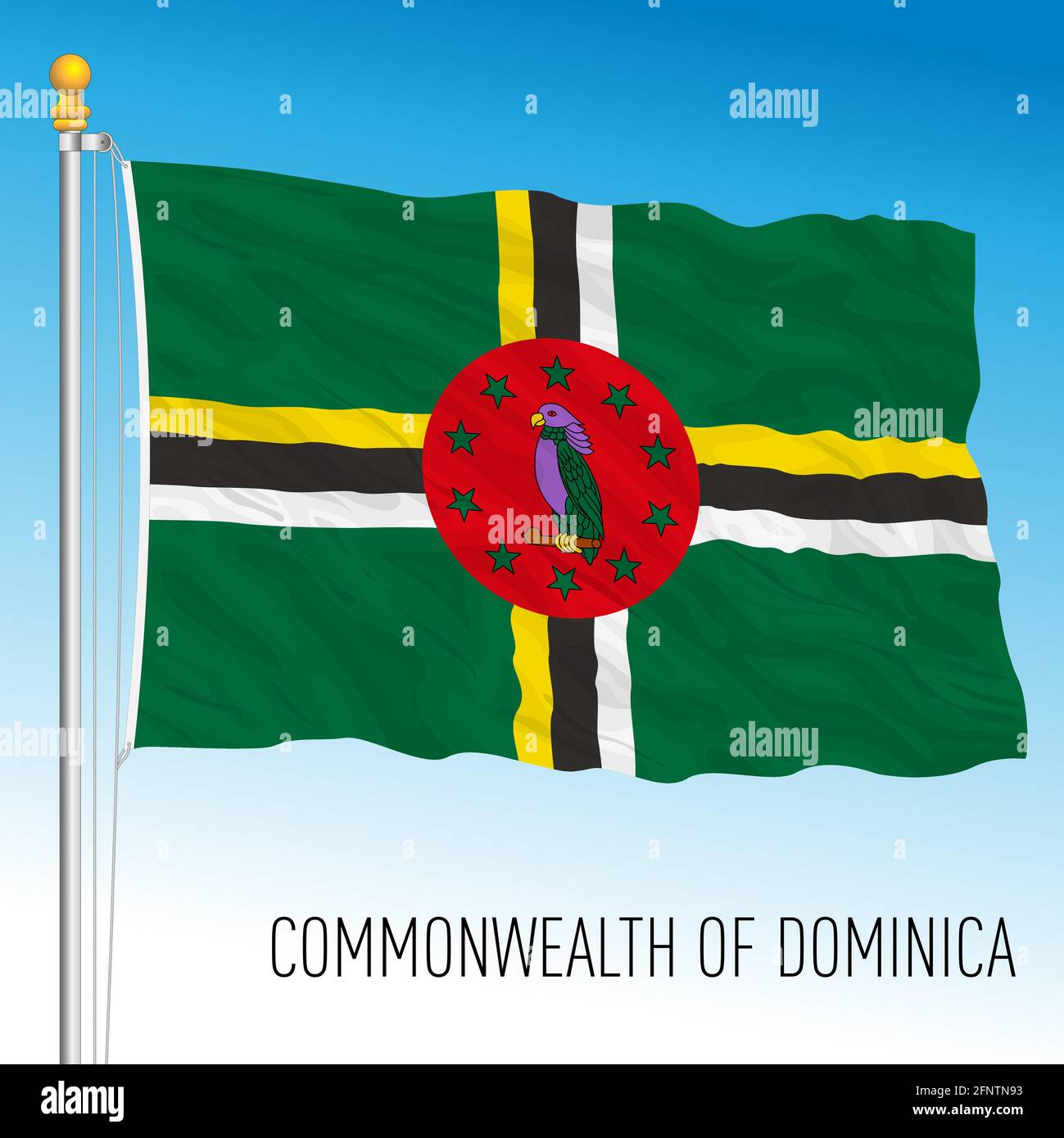 Drapeau national officiel de la Dominique, pays américain, illustration ...