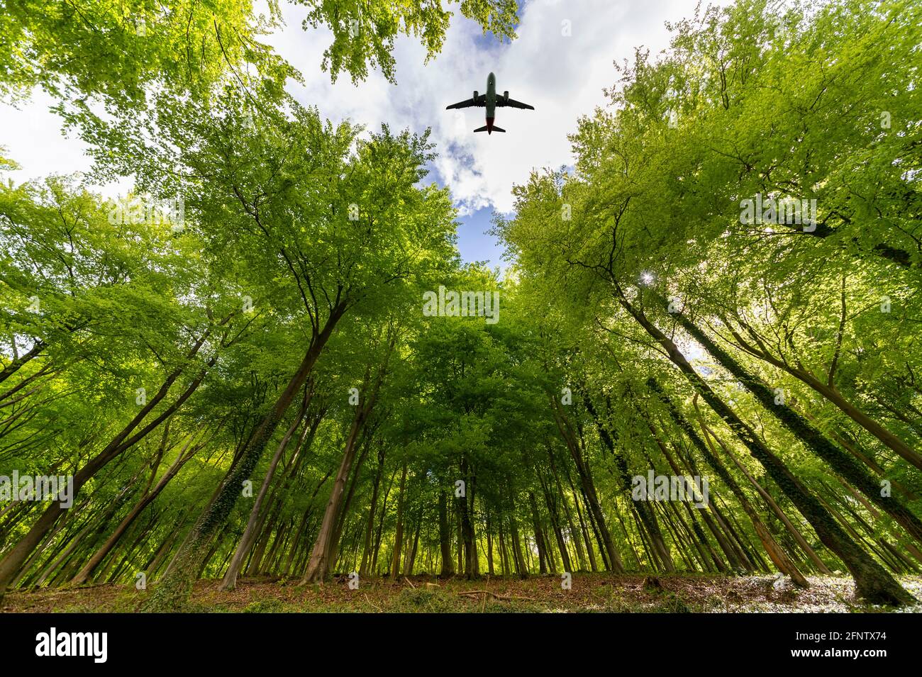 Avion survolant la forêt Banque de photographies et d’images à haute ...