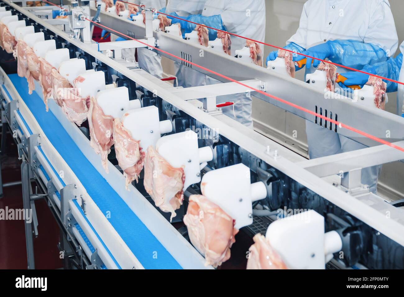 Chaîne de production automatisée dans une usine alimentaire moderne ...