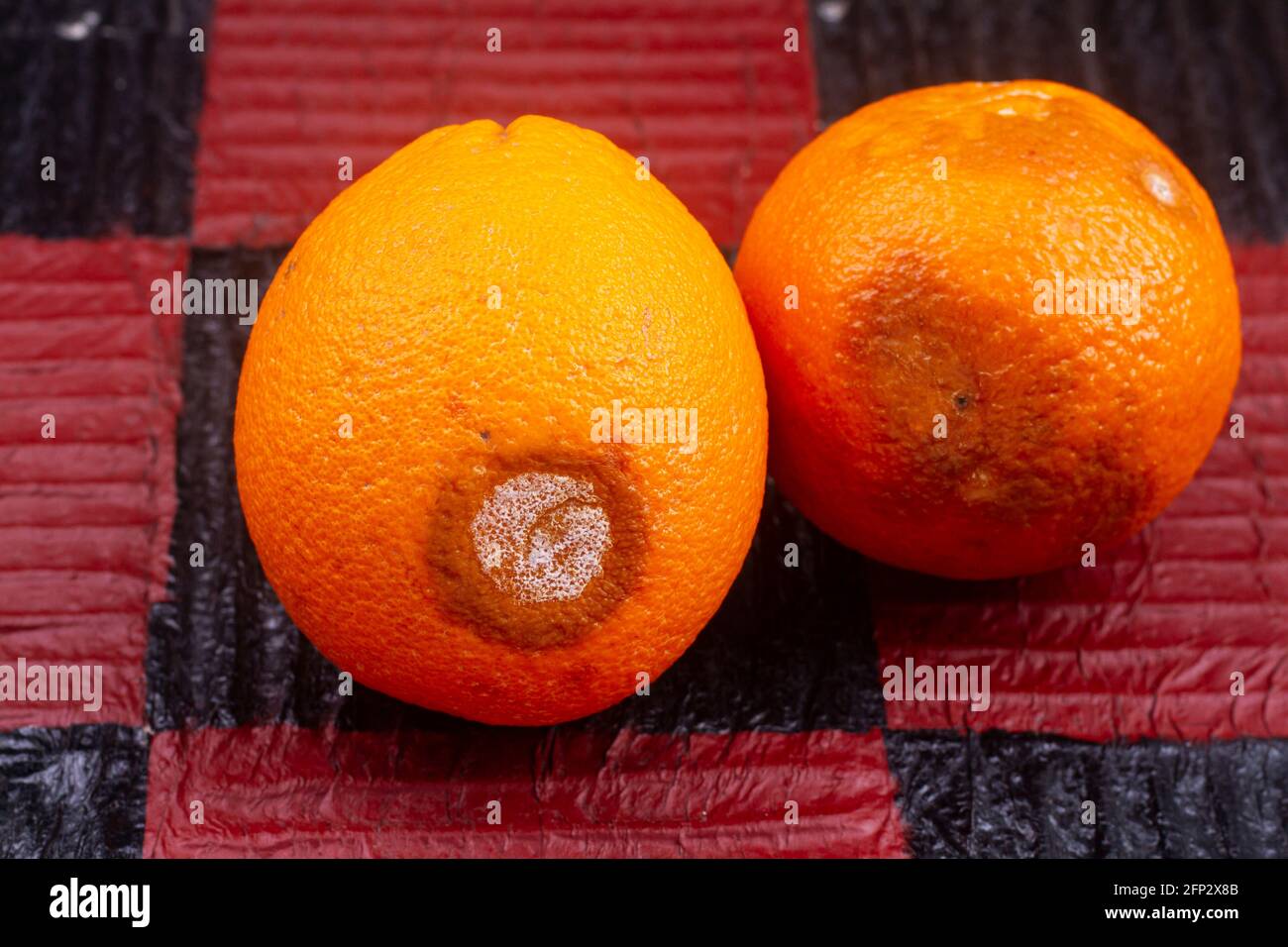 Orange Pourrie Banque d'image et photos - Alamy