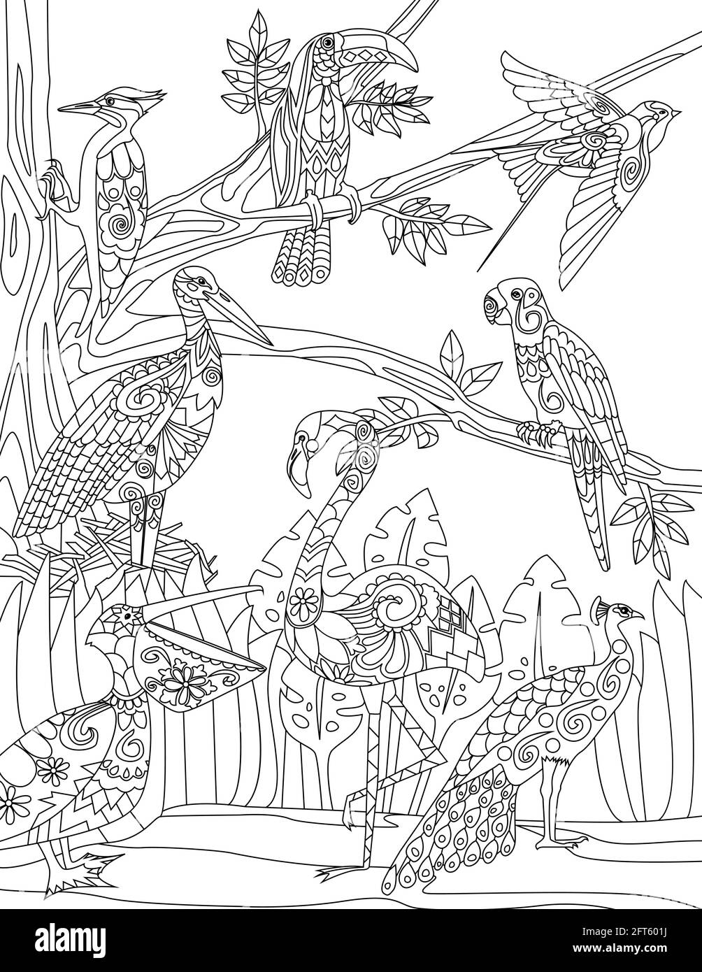 Les oiseaux tropicaux s'ébouriffent sur les arbres, dessin à la main ...