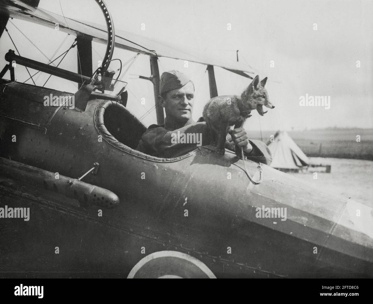 Première Guerre mondiale, première Guerre mondiale, Front occidental ...