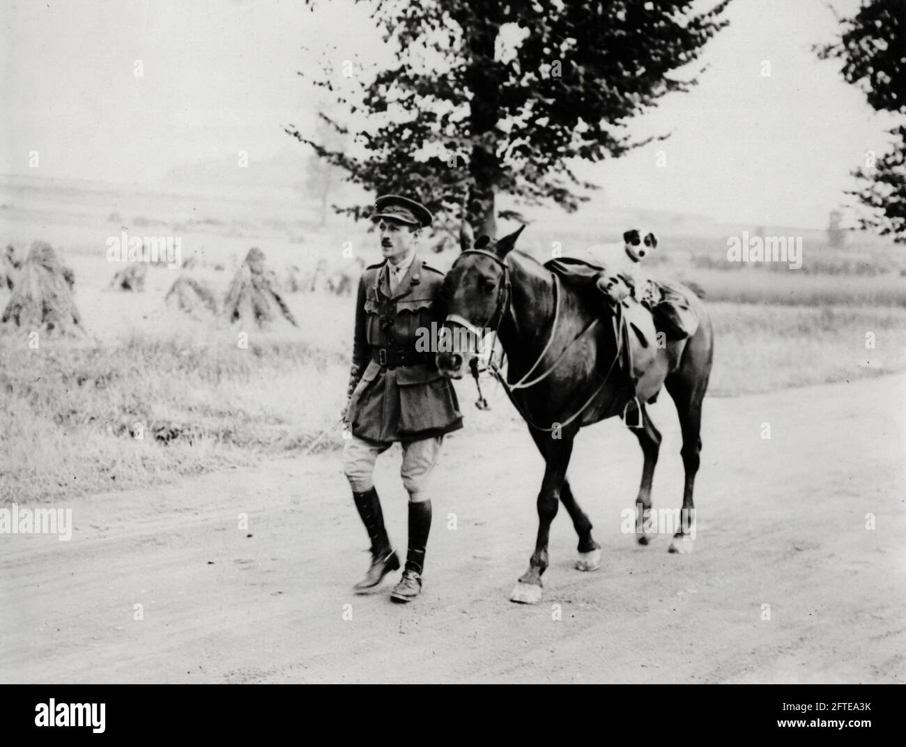 Première Guerre mondiale, première Guerre mondiale, front occidental ...