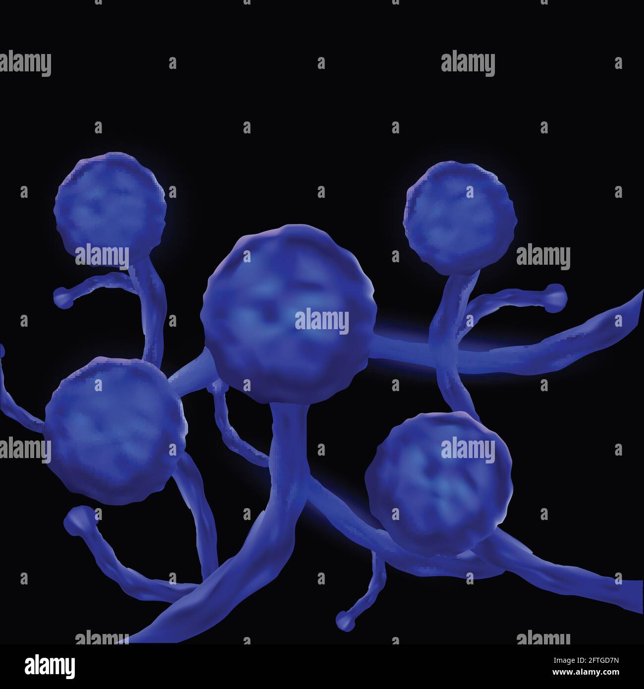 Fungus microscope Banque d'images vectorielles - Alamy