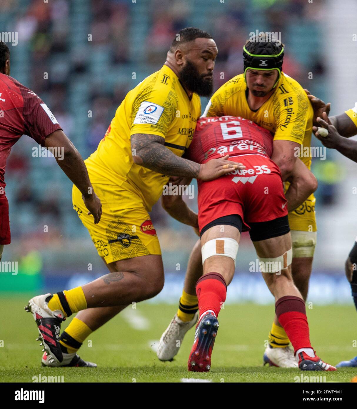 Rynhardt elstadt rugby Banque de photographies et d’images à haute ...