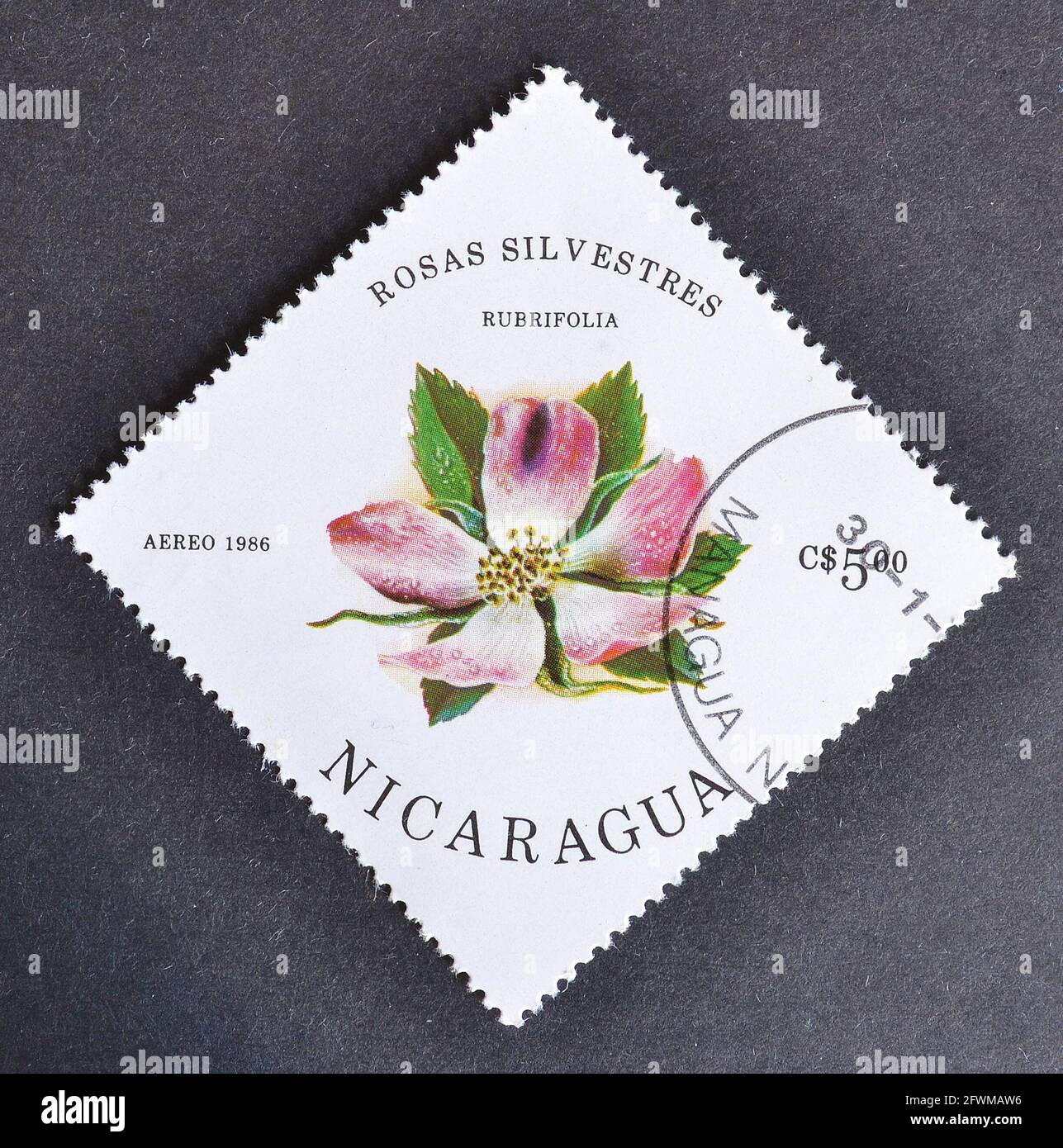 Timbre-poste annulé imprimé par le Nicaragua, qui montre Redleaf Rose ...