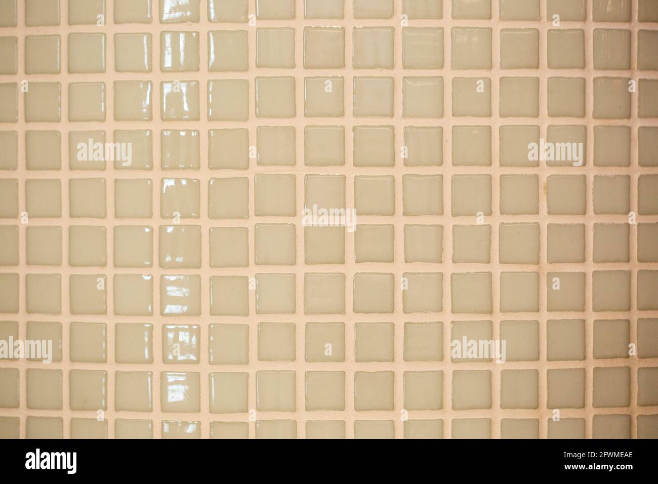 Mosaico ceramico Banque de photographies et d’images à haute résolution ...