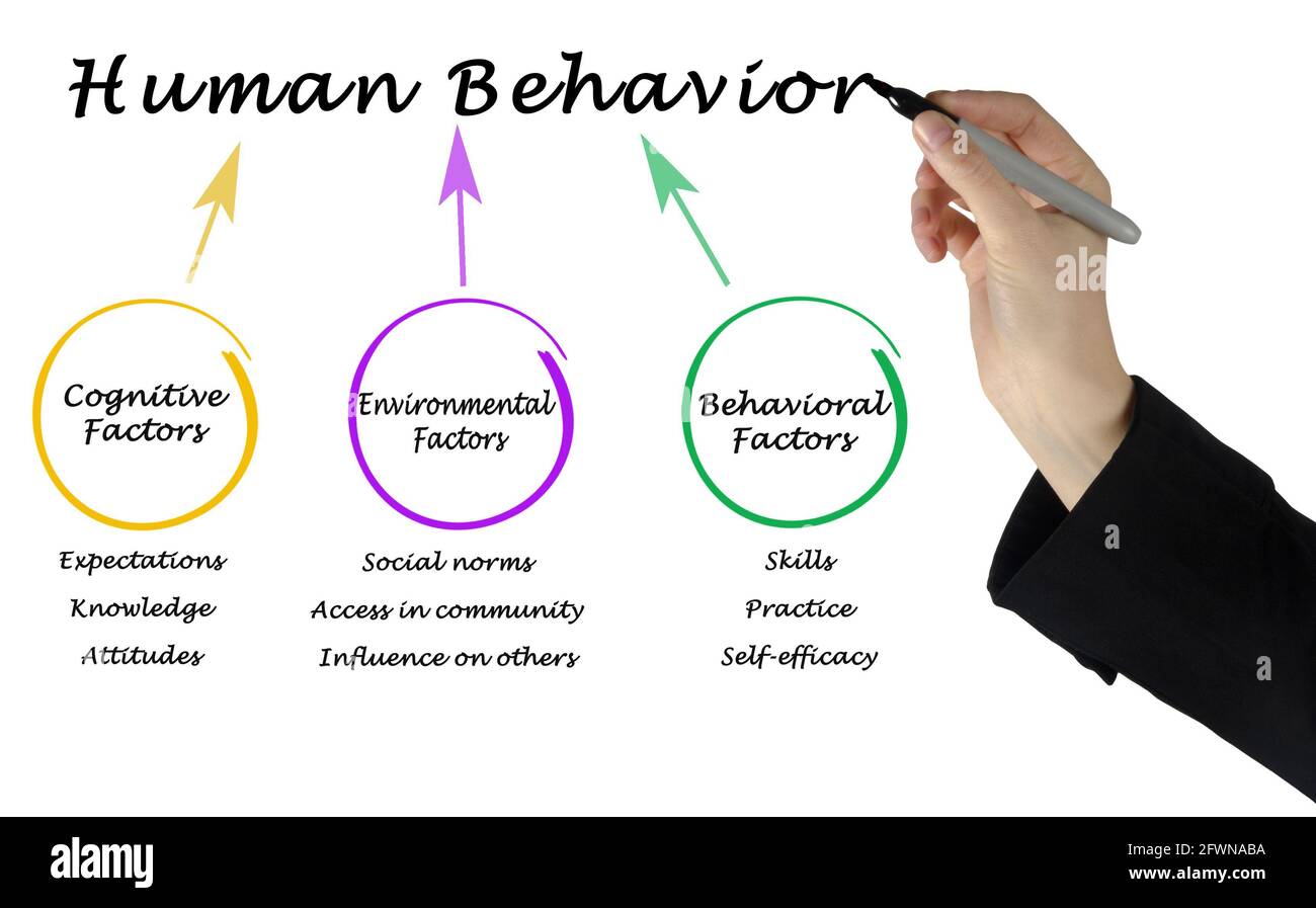 Normes comportementales Banque de photographies et d’images à haute ...