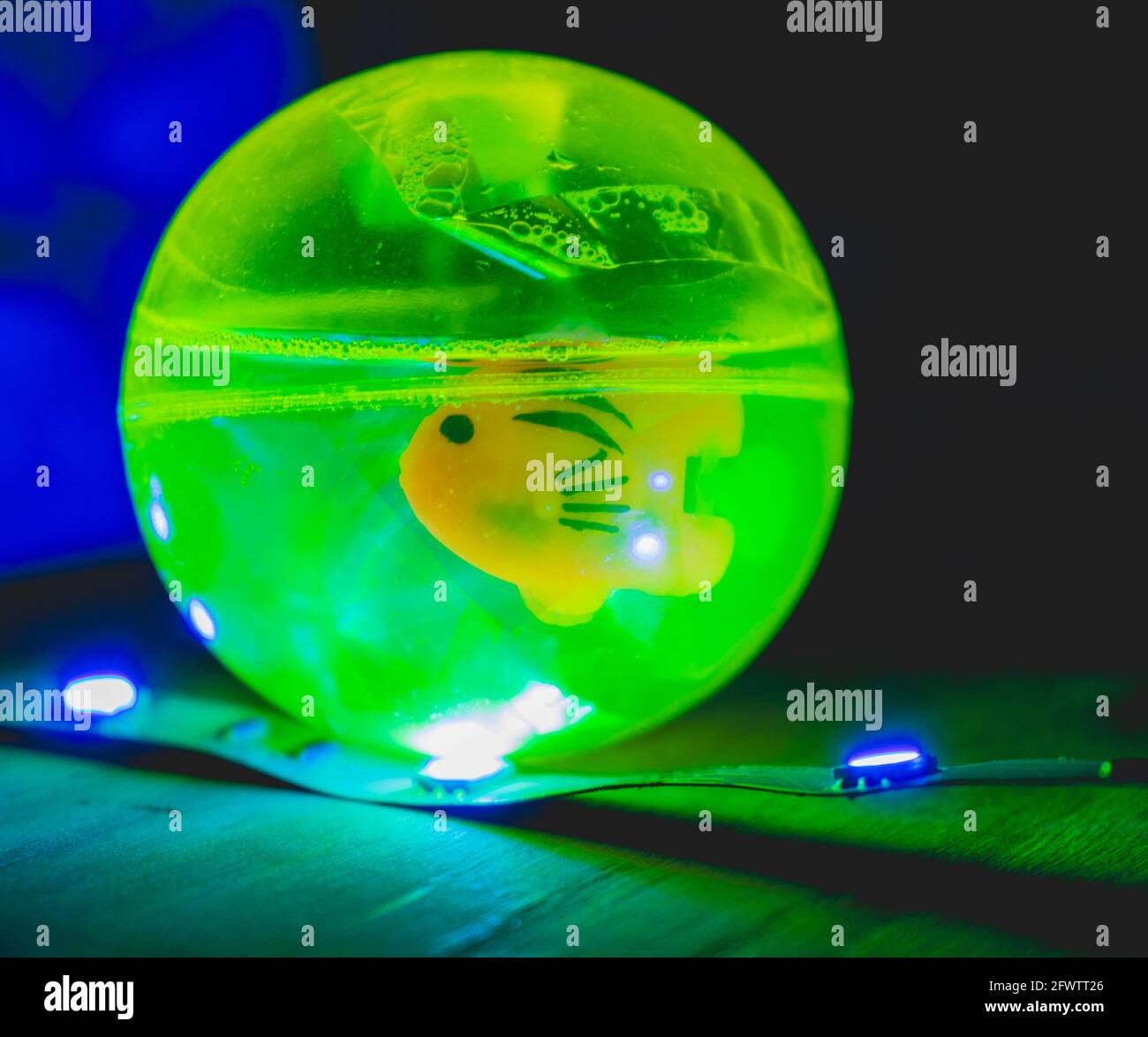 Poisson transparent Banque de photographies et d’images à haute ...