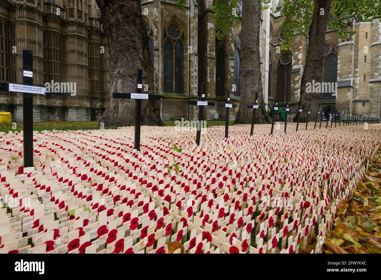 Westminster field of remembrance Banque de photographies et d’images à ...