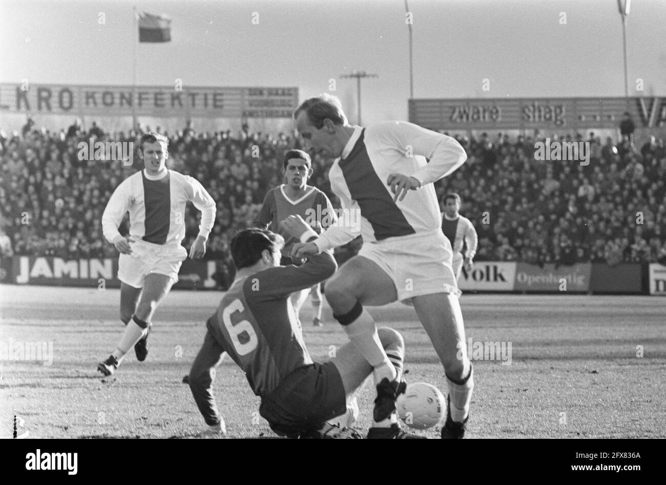 Poule groot Banque de photographies et d’images à haute résolution - Alamy