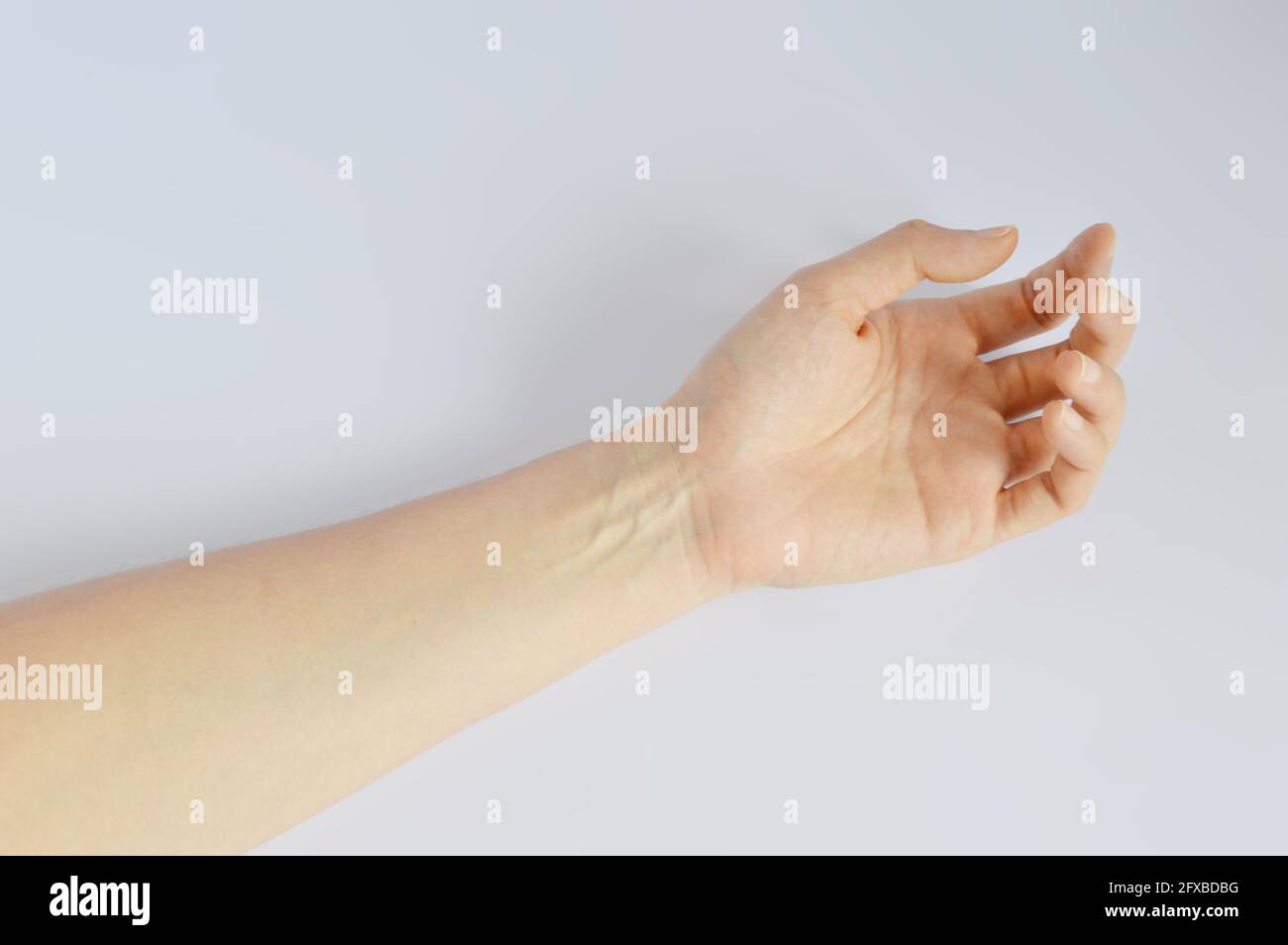 Vaisseaux sanguins de la main Banque de photographies et d’images à ...