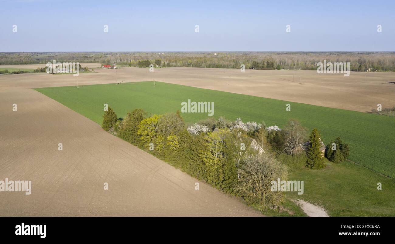 Prise de vue aérienne de vastes terres arables et d'un espace vert au ...