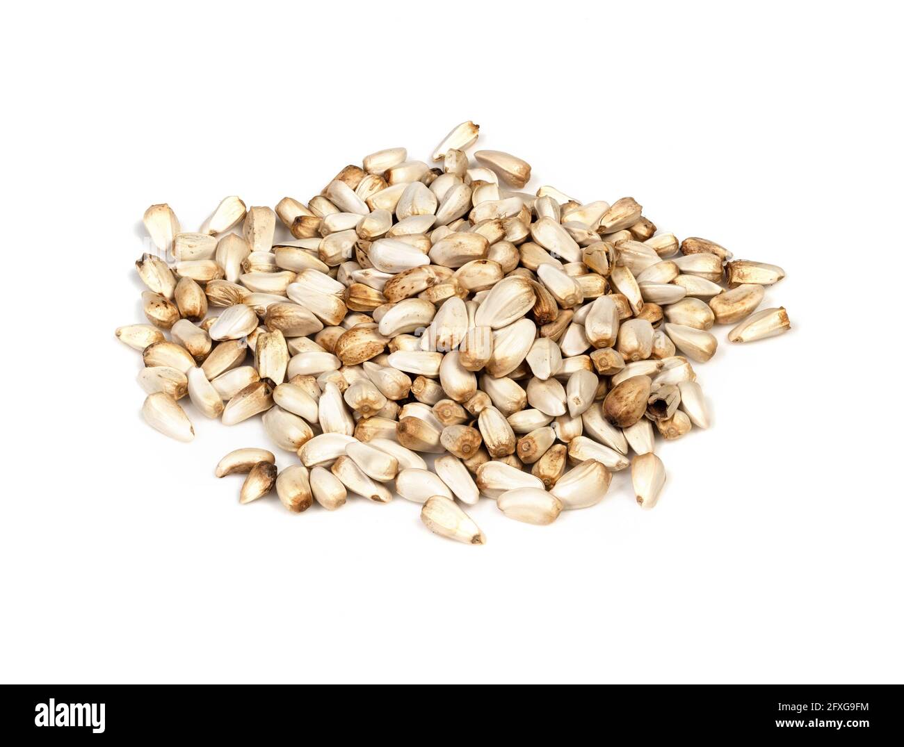 Graines de carthame Banque d'images détourées - Alamy