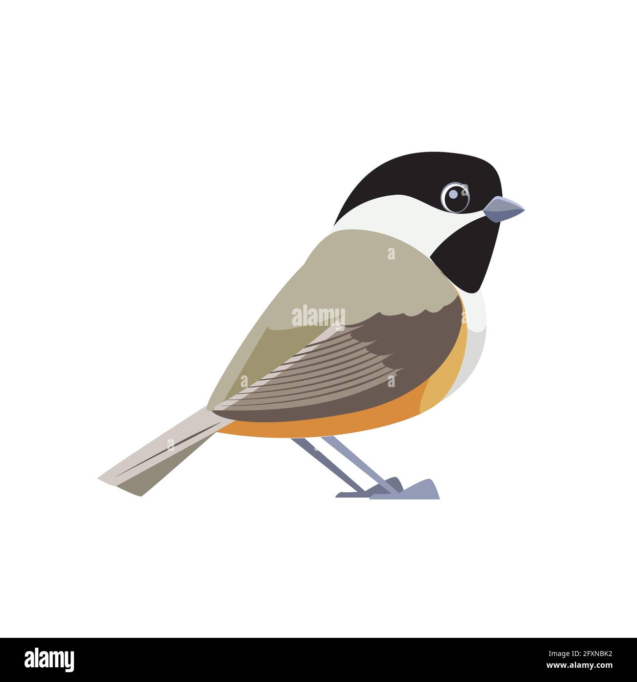 La chiche à capuchon noir est une petite, songbird. C'est un oiseau de ...