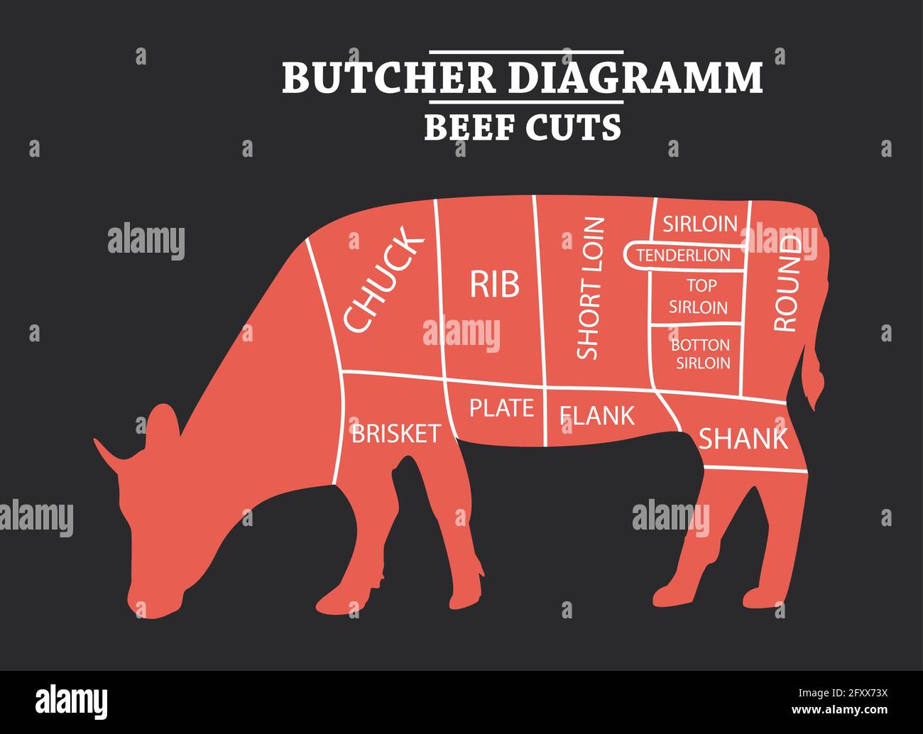 Diagramme de boeuf Banque d'images vectorielles - Alamy