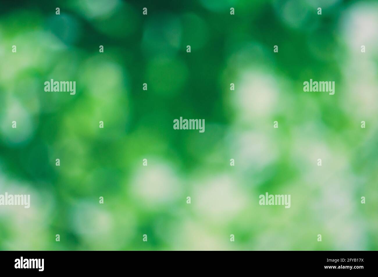 Fond vert flou avec lumières bokeh - idéal pour les fonds d'écran et ...