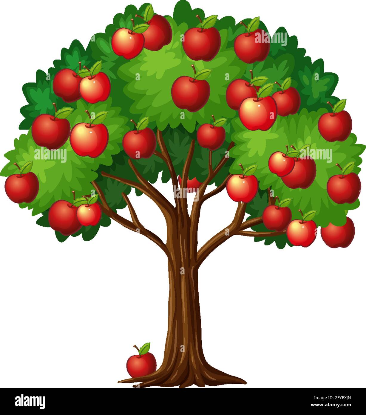 Pommes Sur Un Arbre Banque d'images vectorielles - Alamy