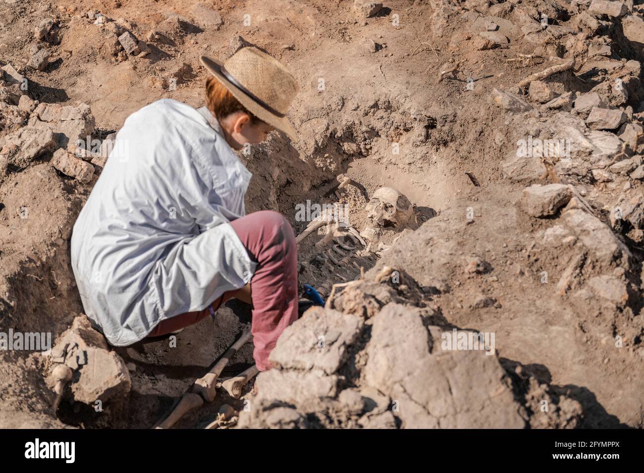 Archéologue excavant le squelette Photo Stock - Alamy