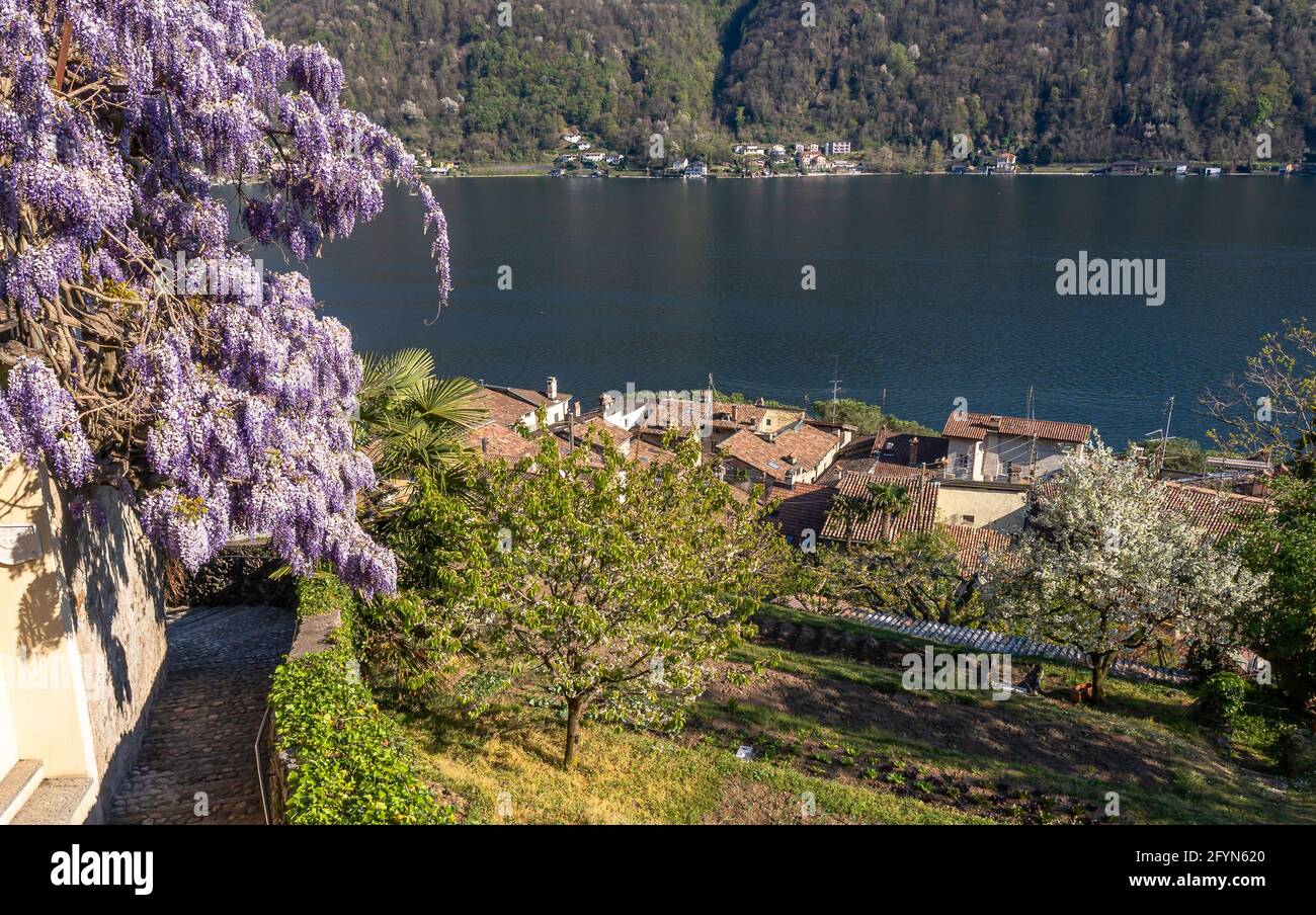 Le village pittoresque de Morcote au Tessin, au bord du lac de Lugano ...