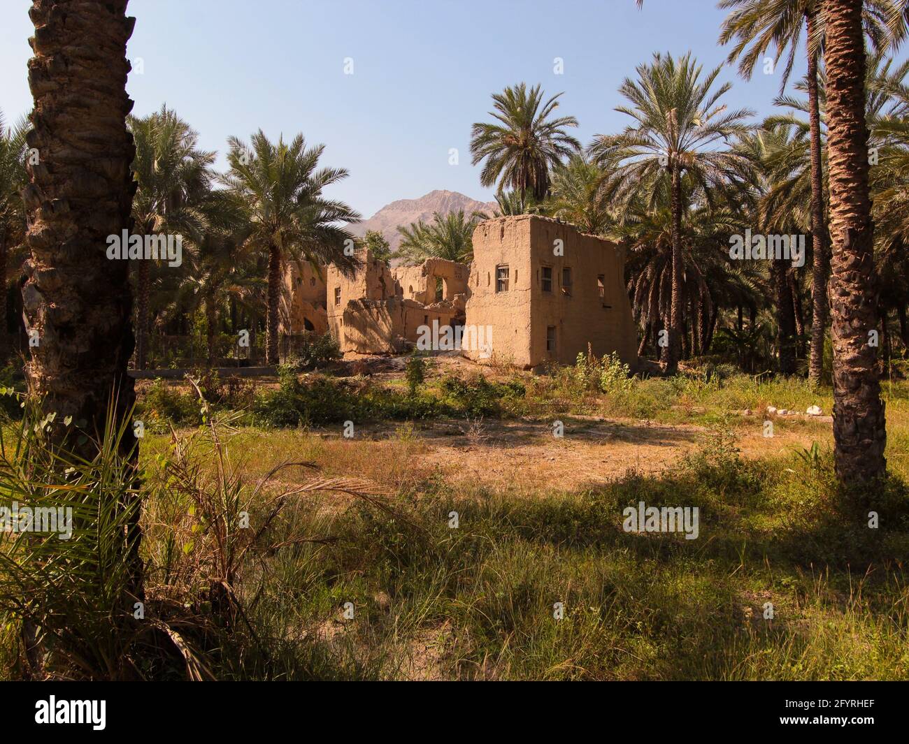 Une ancienne ruine d'une maison en brique et en stuc dans une palmeraie ...