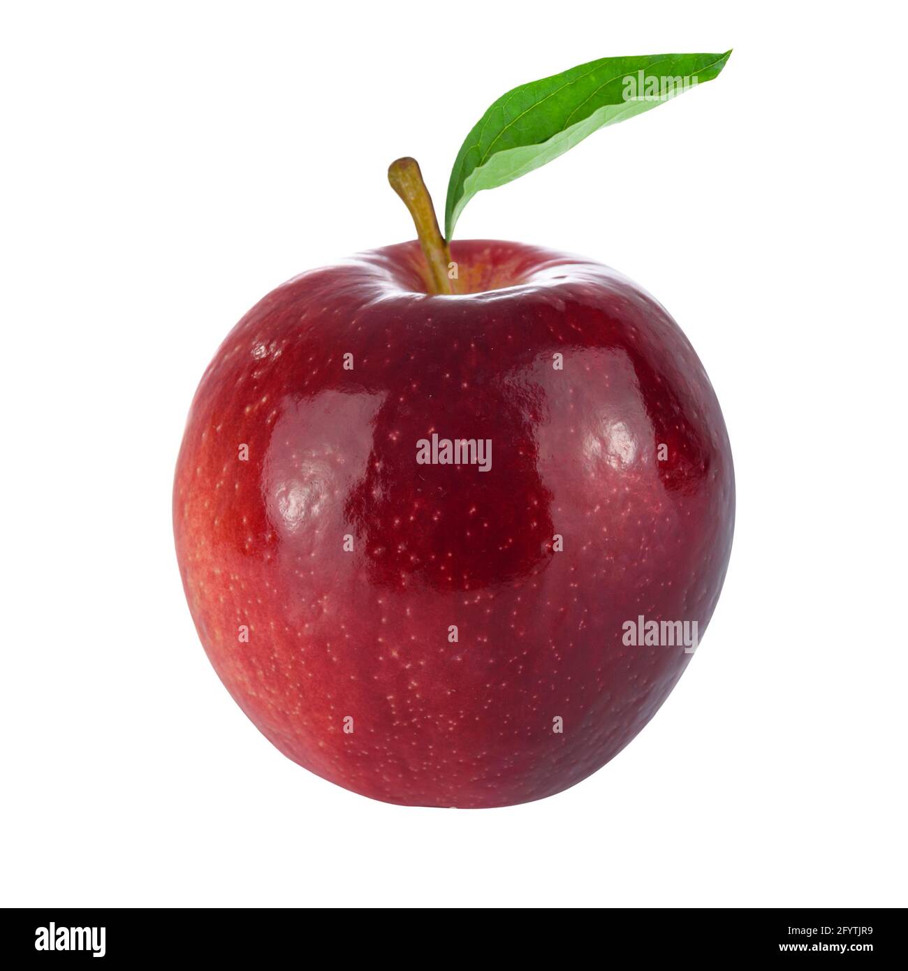 Pomme rouge sur fond blanc sans feuille Banque de photographies et d ...