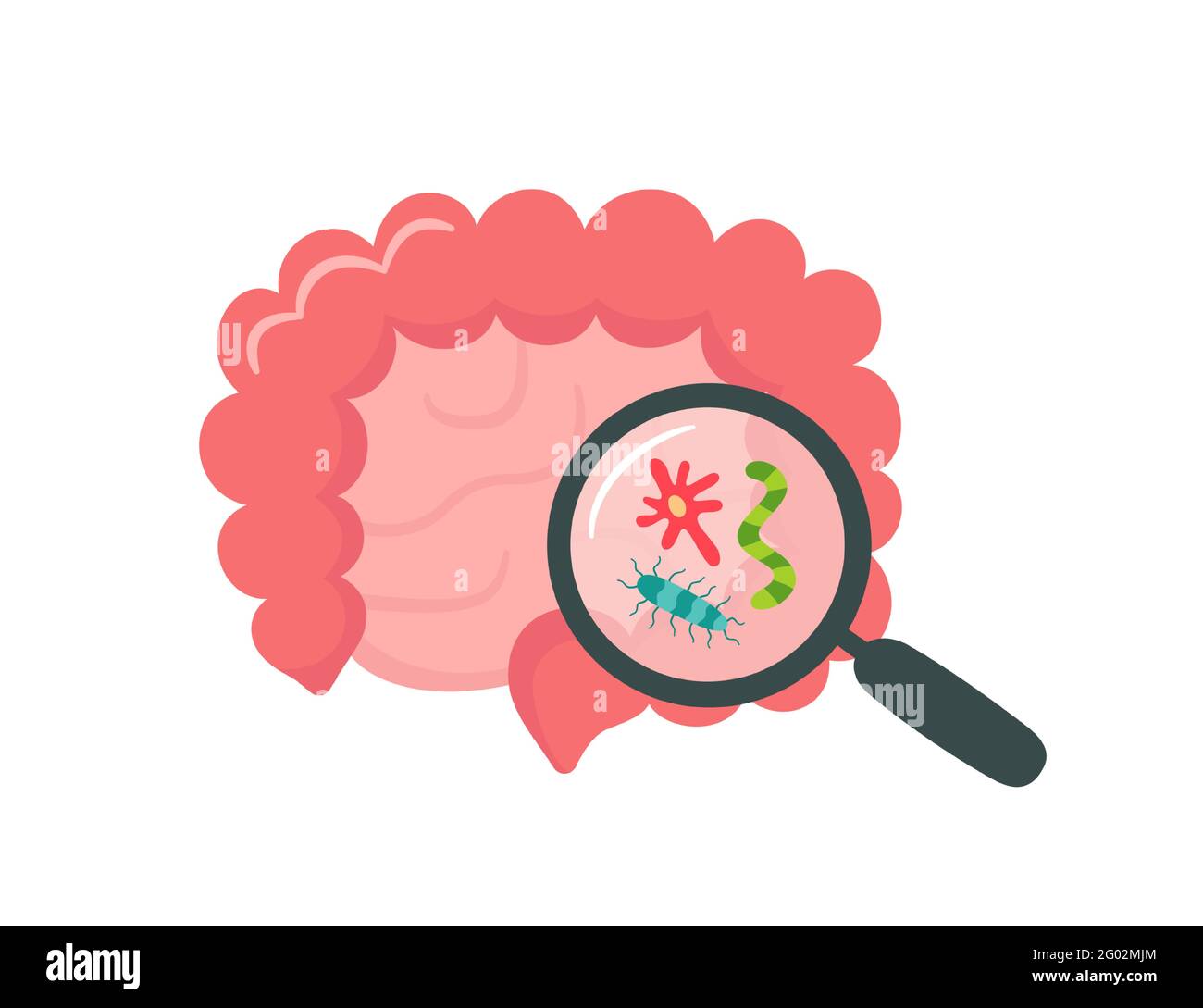 Intestin humain de petite et grande taille et loupe. Microbiome ...