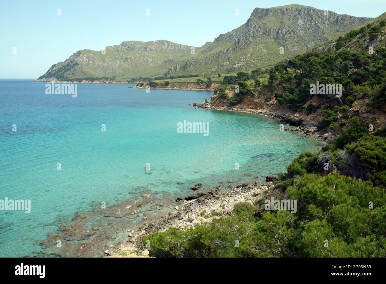 Cala na clara Banque de photographies et d’images à haute résolution ...