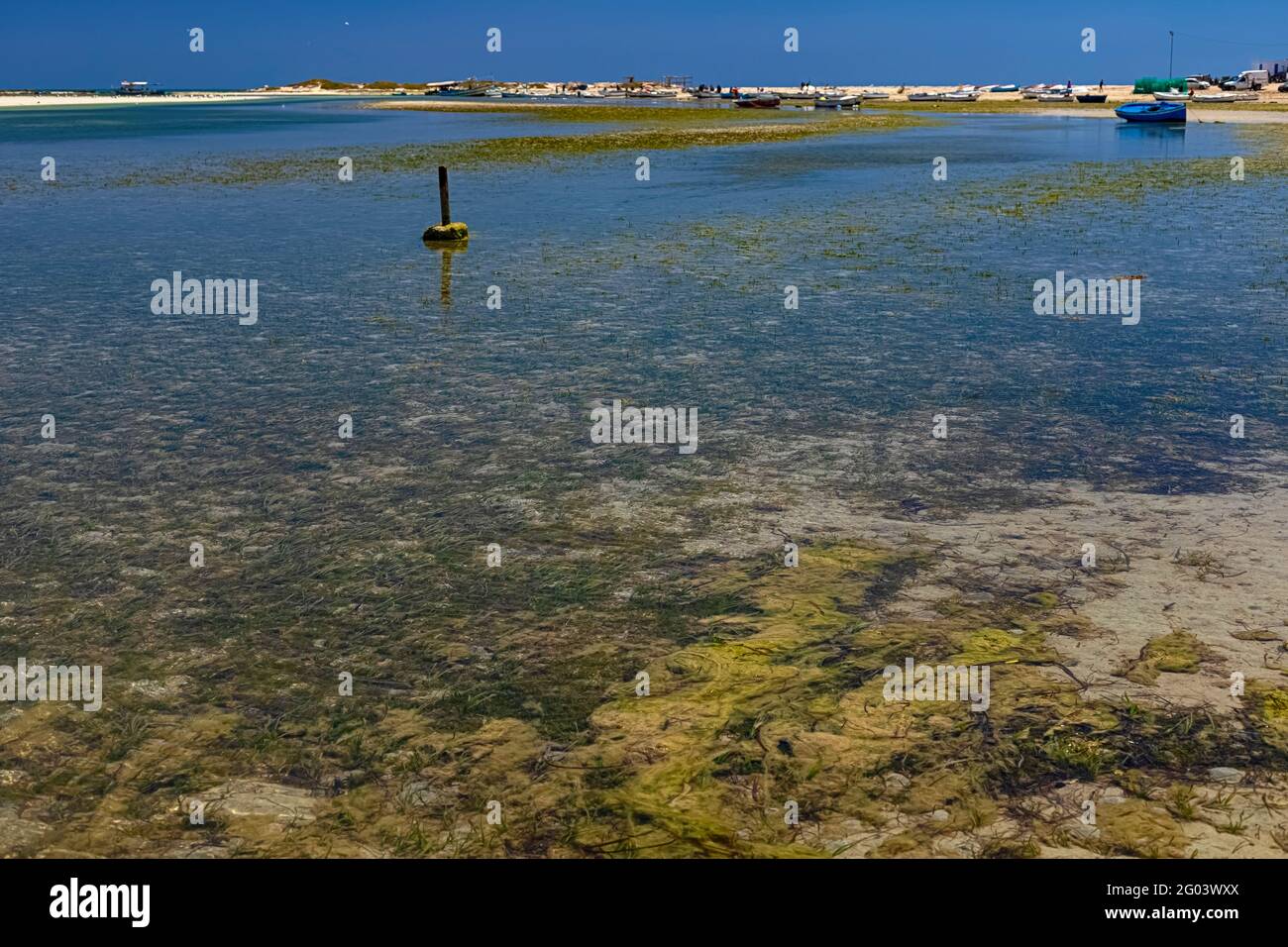 Vue sur les bateaux dans la baie à marée basse sur la plage dans la mer ...