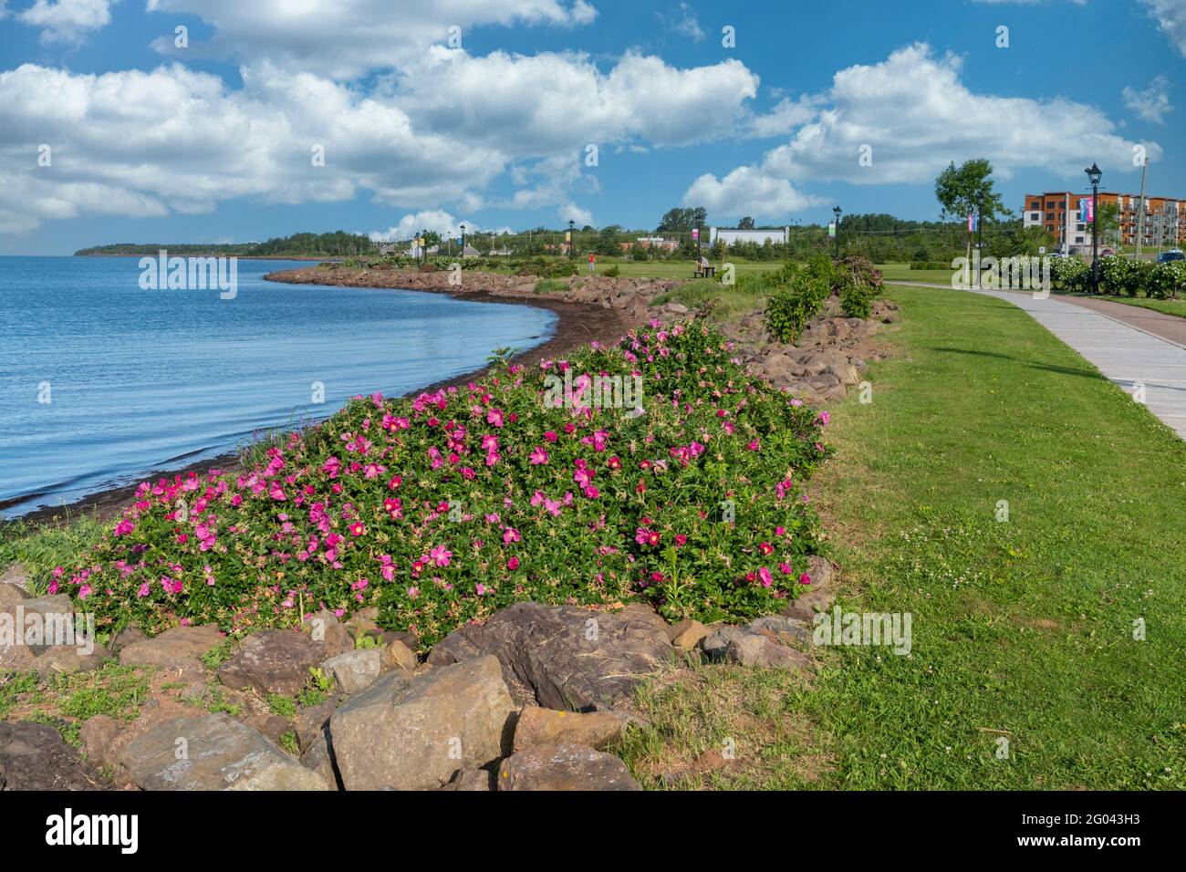Pei tourisme Banque de photographies et d’images à haute résolution - Alamy