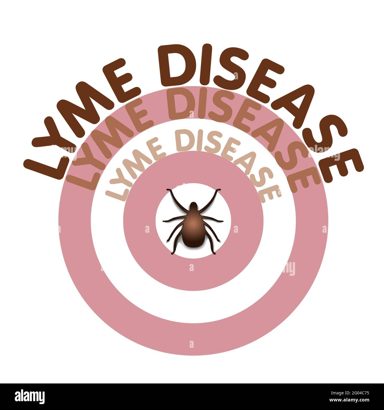 Lyme disease rash Banque d'image et photos - Alamy