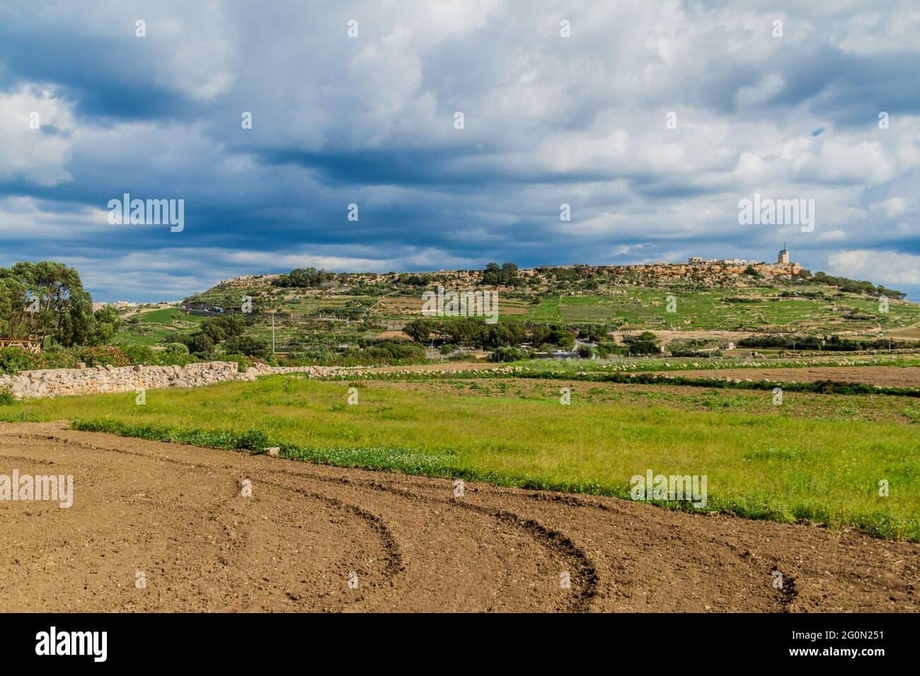 Maltese farm Banque de photographies et d’images à haute résolution - Alamy