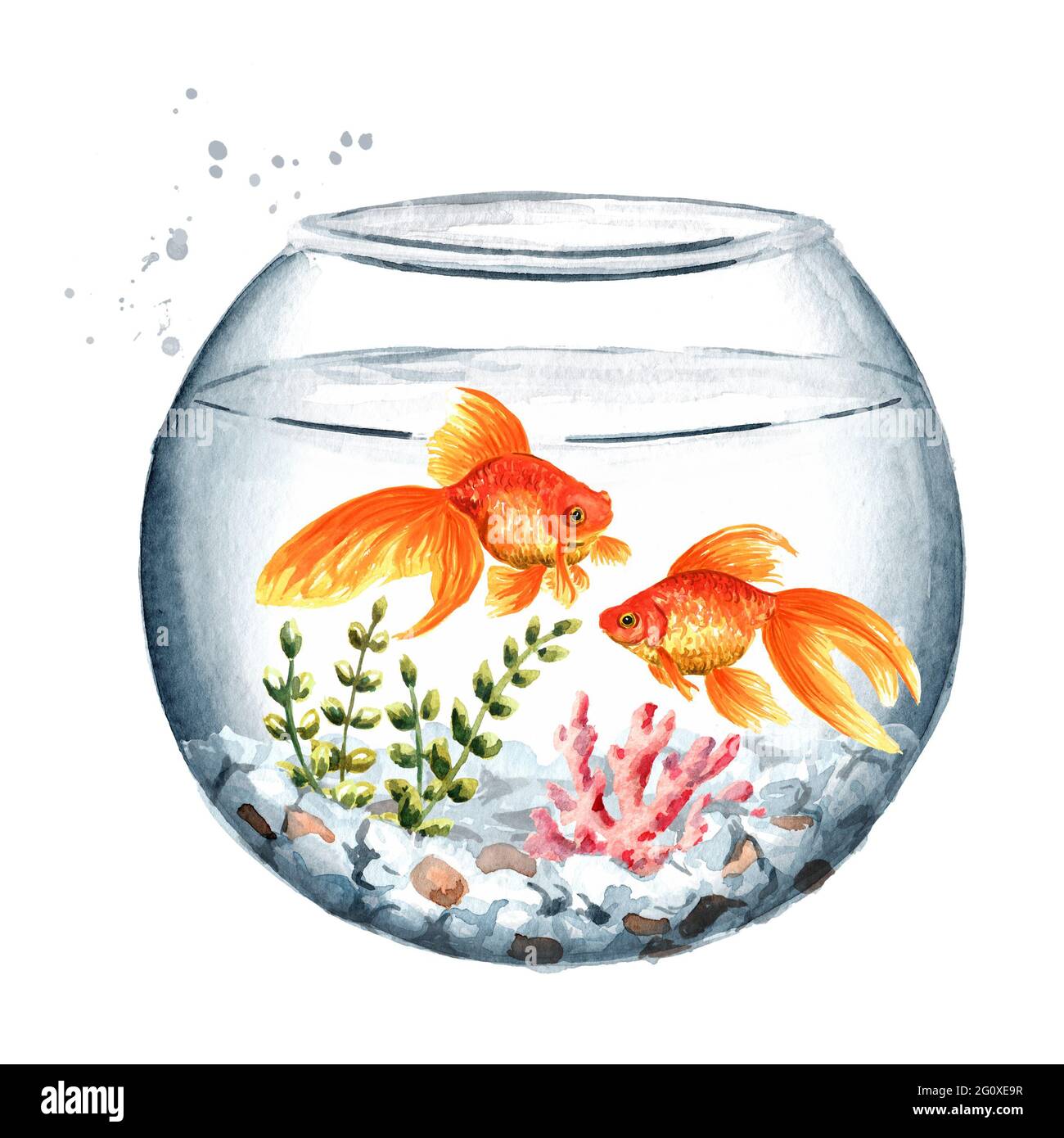 Dessin poisson rouge avec son bocal Banque de photographies et d’images ...