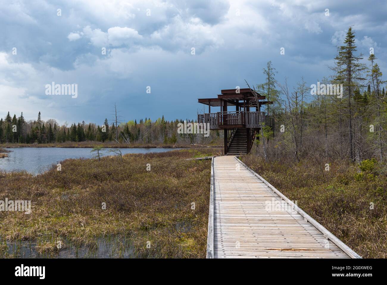 Nature québec printemps Banque de photographies et d’images à haute ...